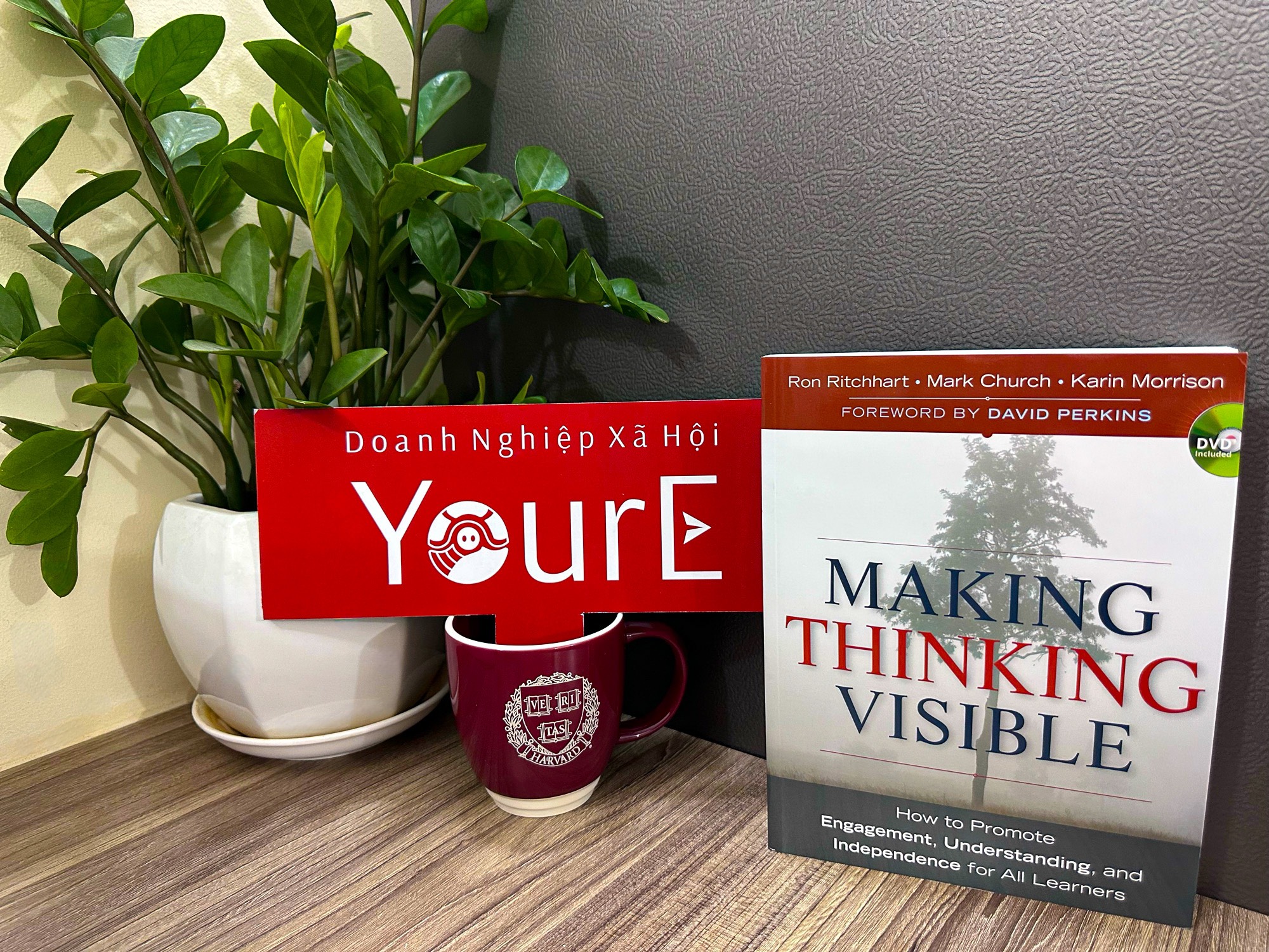 Making Thinking Visible - Tổ chức Xã Hội Giáo Dục & Đào Tạo YOUREORG