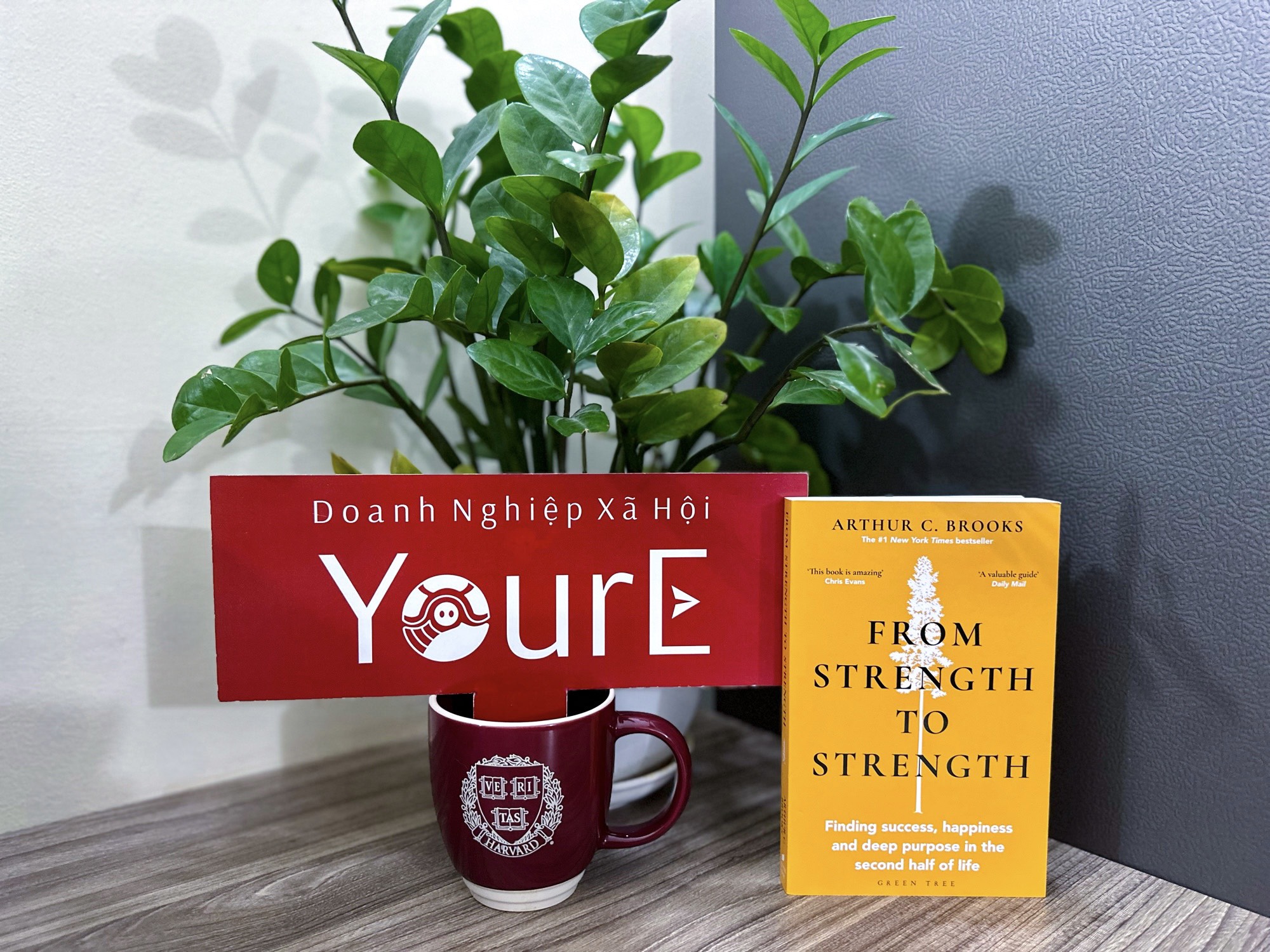 From Strength to Strength - Tổ chức Xã Hội Giáo Dục & Đào Tạo YOUREORG