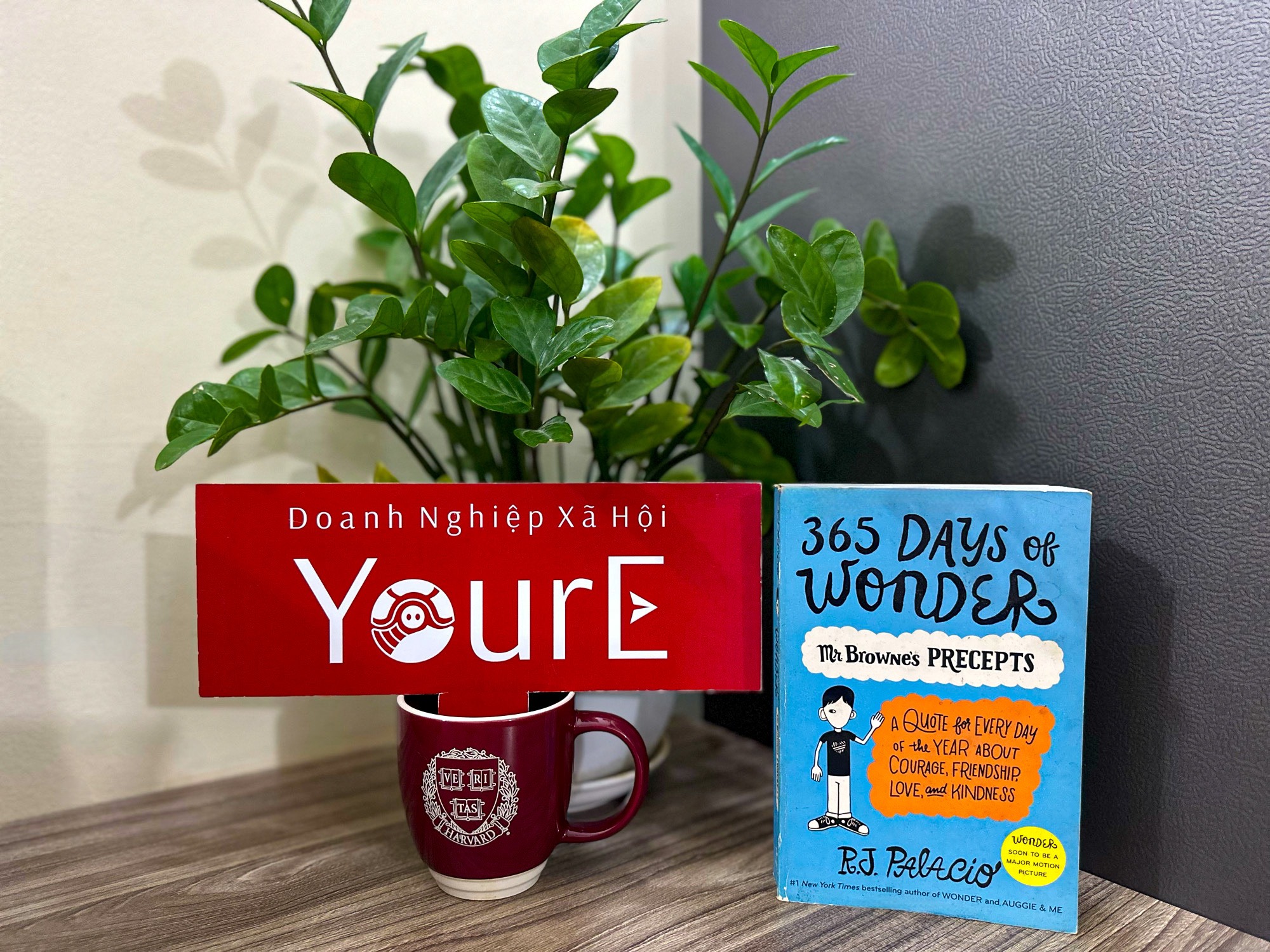 365 Days of Wonder - Tổ chức Xã Hội Giáo Dục & Đào Tạo YOUREORG