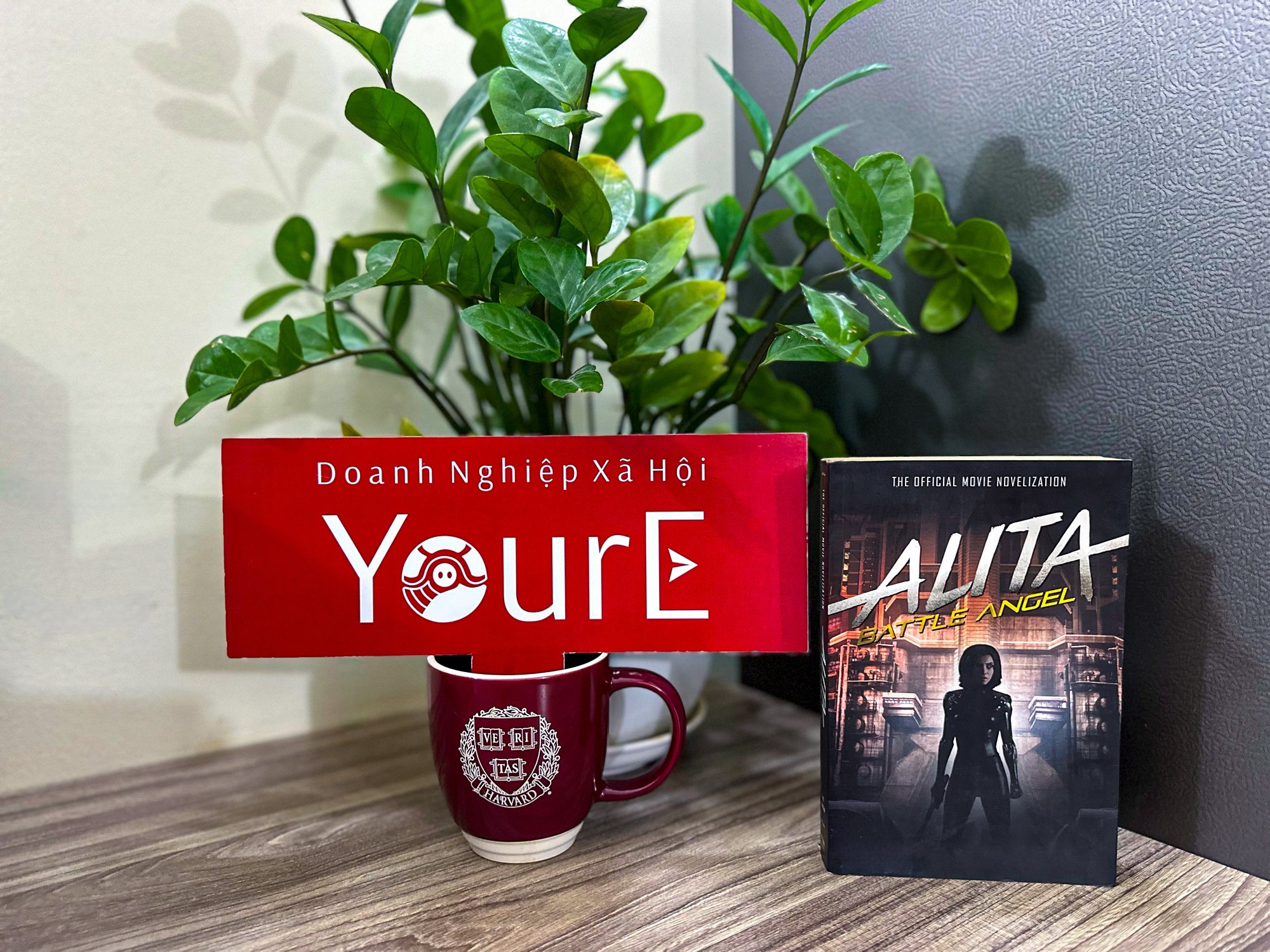 Alita Battle Angel Tổ Chức Xã Hội Giáo Dục And Đào Tạo Youreorg
